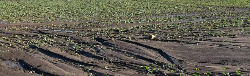 Exploring the Different Types of Soil Erosion - CORE Erosion Control