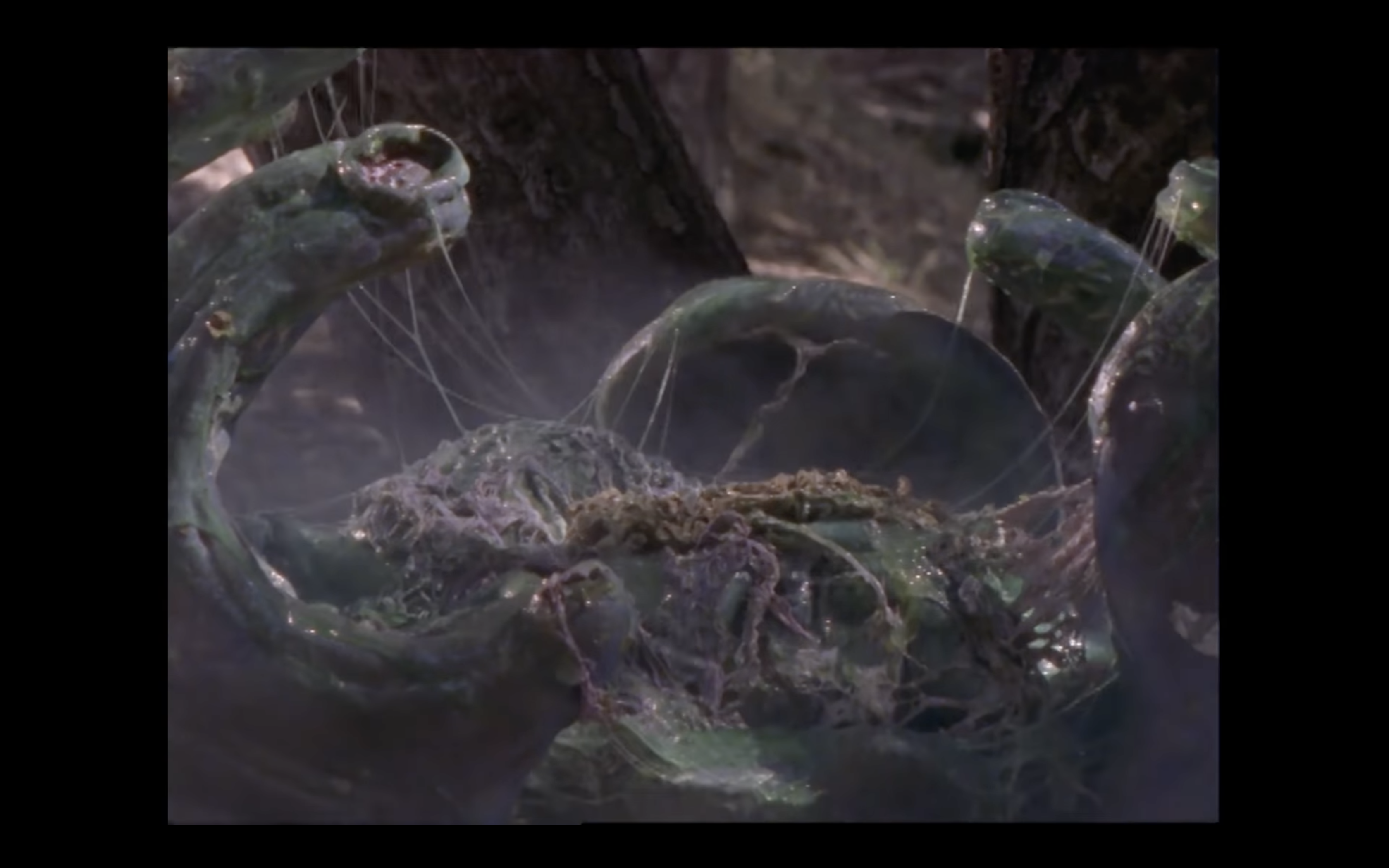 Turbo #18 – Passing the Torch: Part 1 – Power Rangers In Order